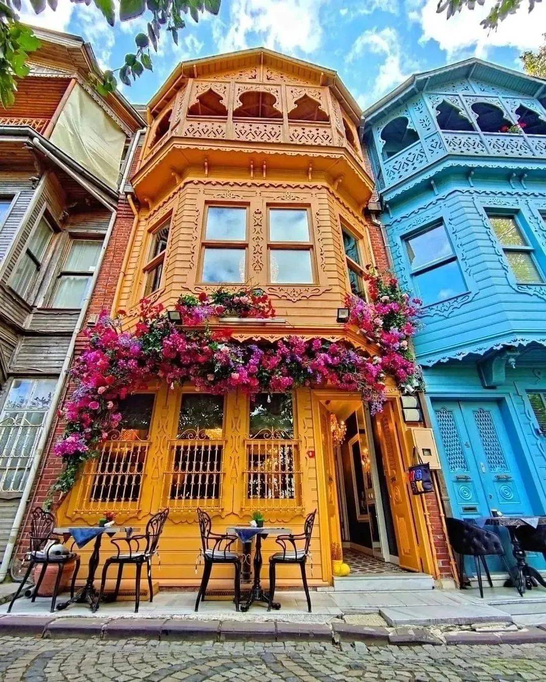 自然之美 妙不可言 (1119)-搜狐大视野-搜狐新闻