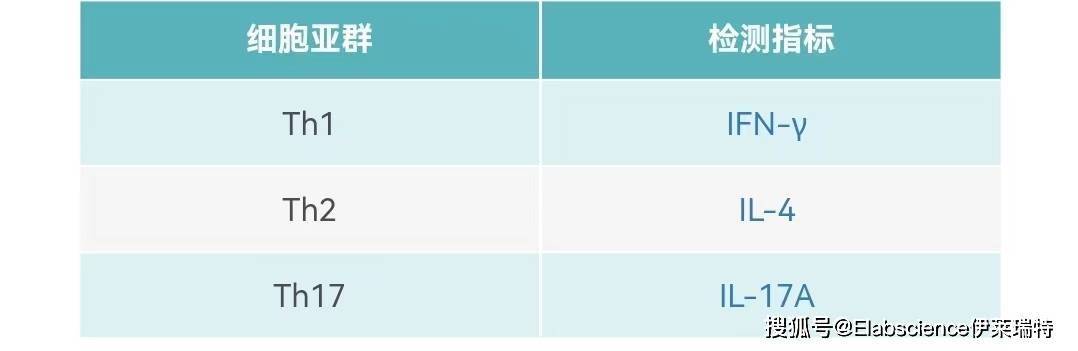 Elabscience流式课堂｜Th1/Th2/Th17细胞简介及指标选择_检测_实验_抗体