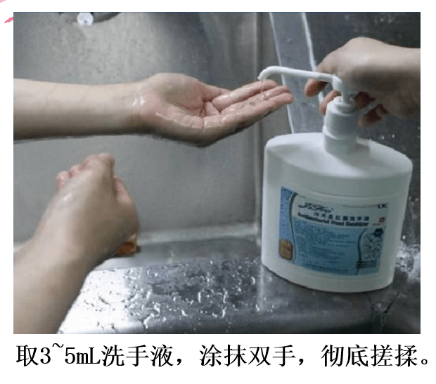 “手卫生”科普进校园 你洗手方法对了吗？_手部