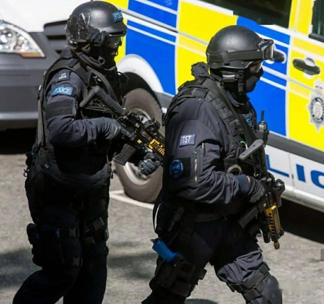 Gate Keeper —— 伦敦大都会警察厅 议会及外交安保组 PaDP_威斯敏斯特