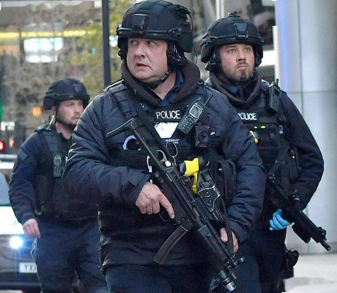 Gate Keeper —— 伦敦大都会警察厅 议会及外交安保组 PaDP_威斯敏斯特