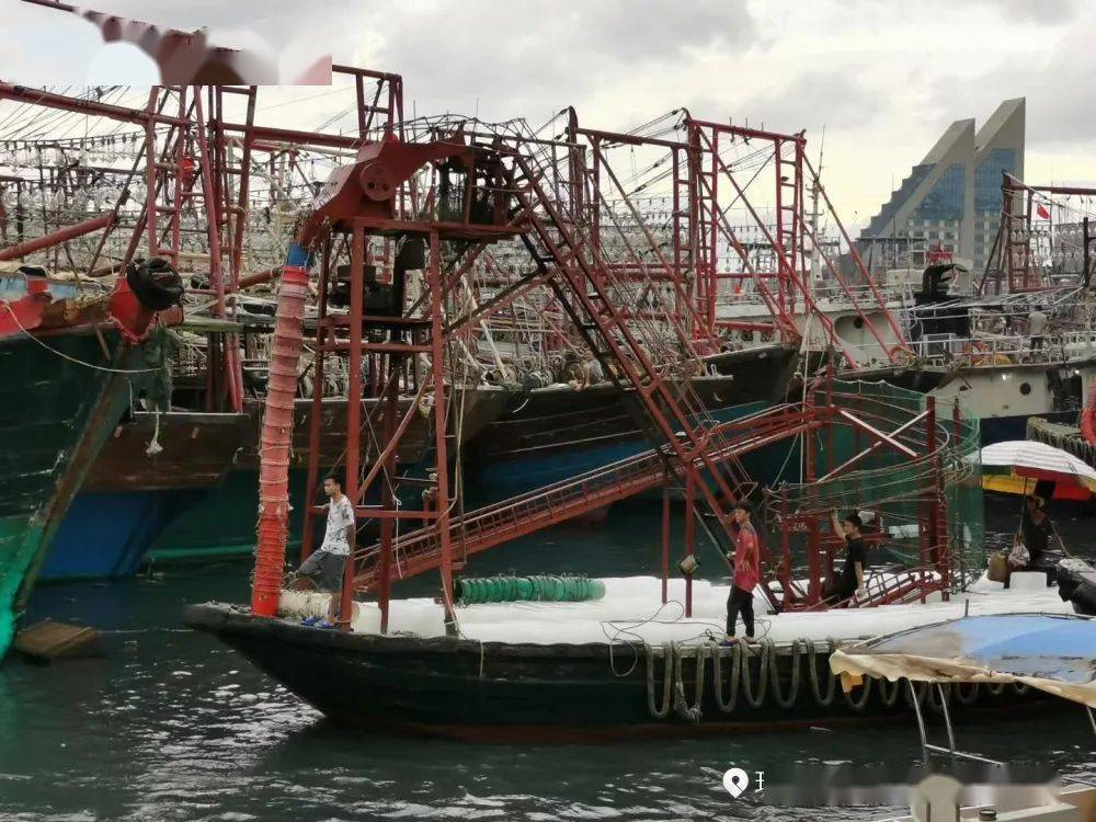 北海今天正式开海！千帆竞发，期待明天鱼虾满舱-搜狐大视野-搜狐新闻