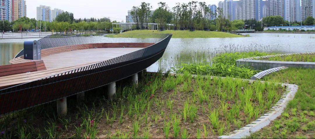 滨水景观 | 多重手段构建“城市海绵”的胶州三里河下游河道景观设计-搜狐大视野-搜狐新闻
