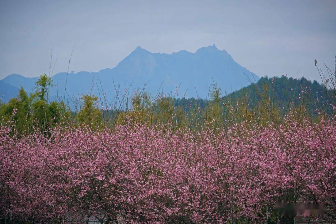 气温洼地？山地型？点进来带你领略“新丰•中国岭南避暑胜地”旅游指南！_新丰县
