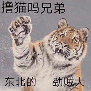 抖音最近热门表情包合集，又萌又可爱！-搜狐大视野-搜狐新闻