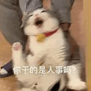 抖音最近热门表情包合集，又萌又可爱！-搜狐大视野-搜狐新闻