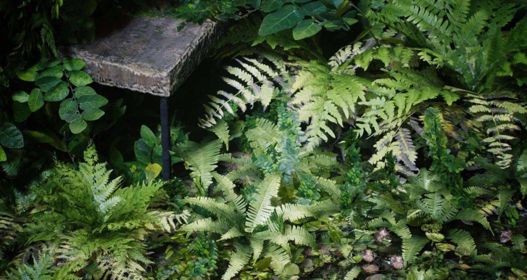 照片级！UE4写实自然场景作品欣赏_BambooZ_UE