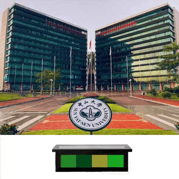 SYSU专属眼影盘—中大有百色，眼波藏深情_背景