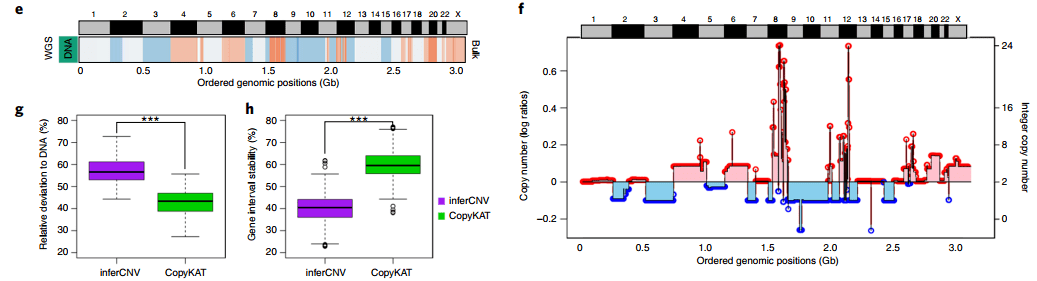 NBT | CopyKAT : 自动化识别肿瘤细胞，加速肿瘤领域单细胞研究_copy