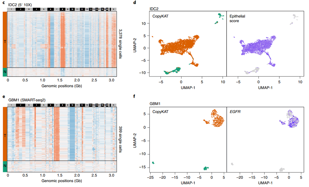 NBT | CopyKAT : 自动化识别肿瘤细胞，加速肿瘤领域单细胞研究_copy
