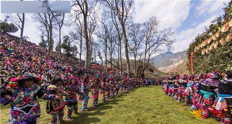 文旅活动丰富多彩，今年春节在楚雄这样玩_禄丰县