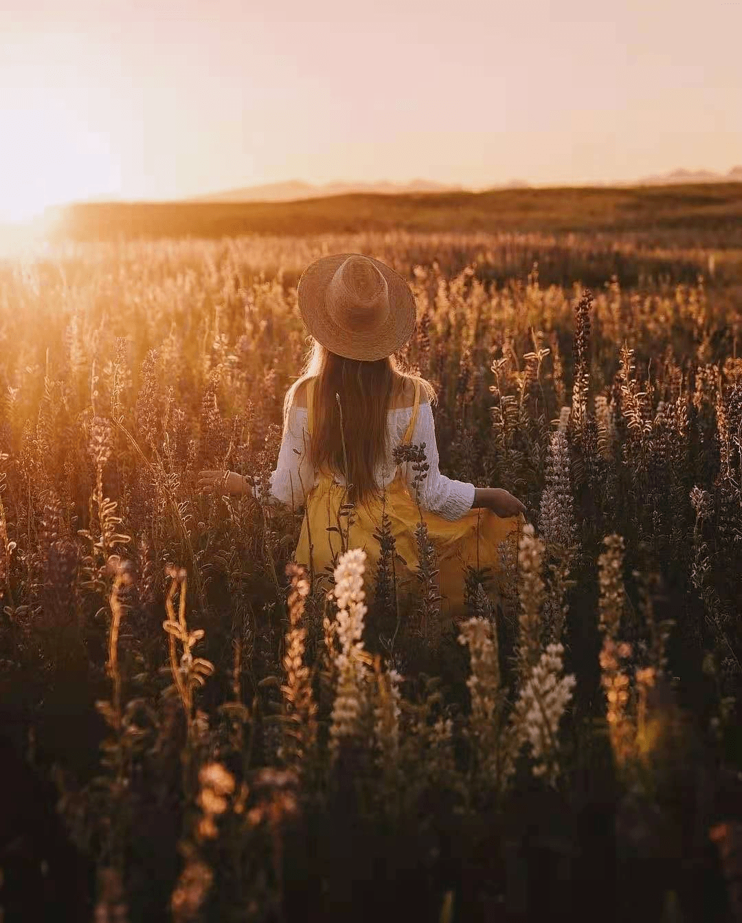 世界名曲《Wonderful Tonight》，送你一个美好的夜晚_Clapton