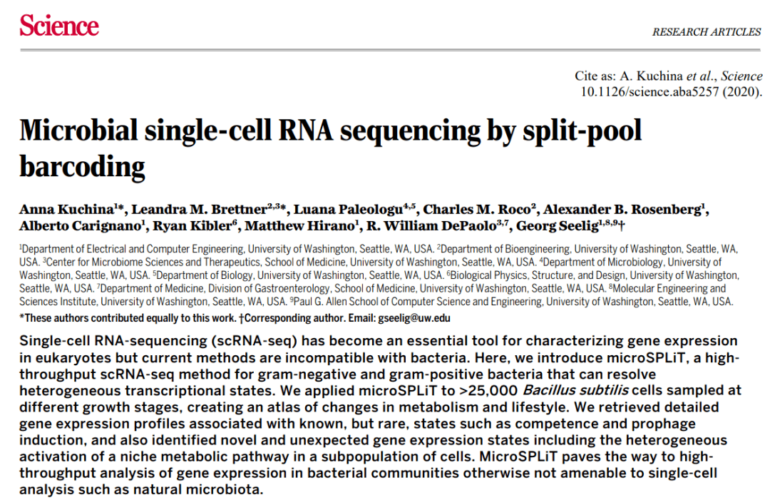 连2021国自然基金委都在推荐的微生物单细胞测序不了解下？| 微生物专题_细菌