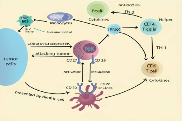 Molecular Cancer | 从分子学角度研究癌症_肿瘤