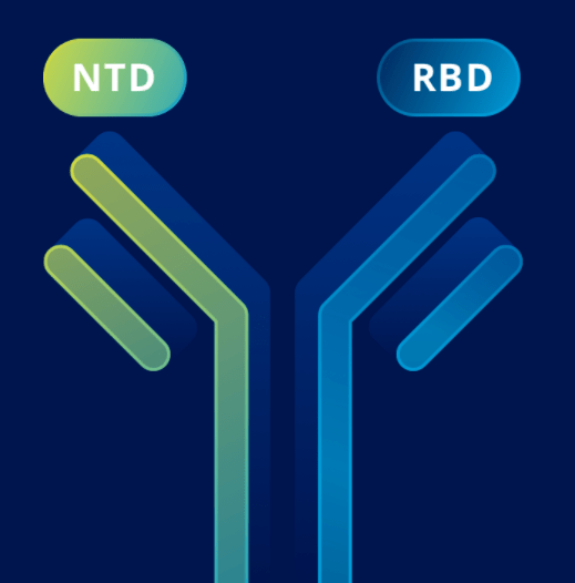 速递 | 何大一教授联合创建，这家新锐旨在开发新冠病毒双特异性抗体疗法_RenBio