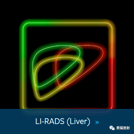 LI-RADS 肝脏影像报告及数据系统_病变