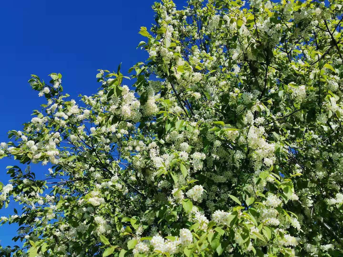 陕西广电融媒集团（台）首辆4K超高清融媒体转播车亮相CCBN2021展_搜狐汽车_搜狐网