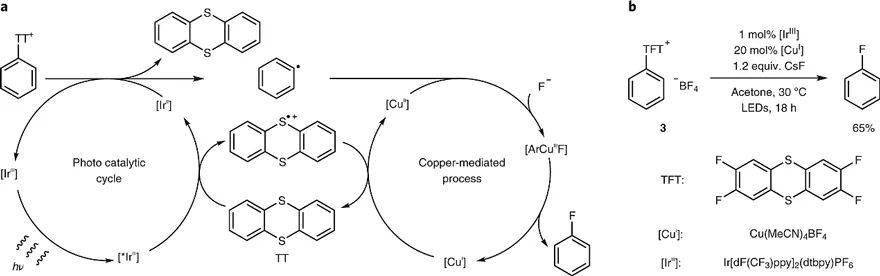 Tobias Ritter教授近年来工作进展：后期官能团化的“万能钥匙”—芳基噻蒽鎓盐_反应