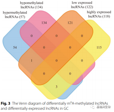 lncRNA＋m6A：这个神奇组合“不同凡响”_调控