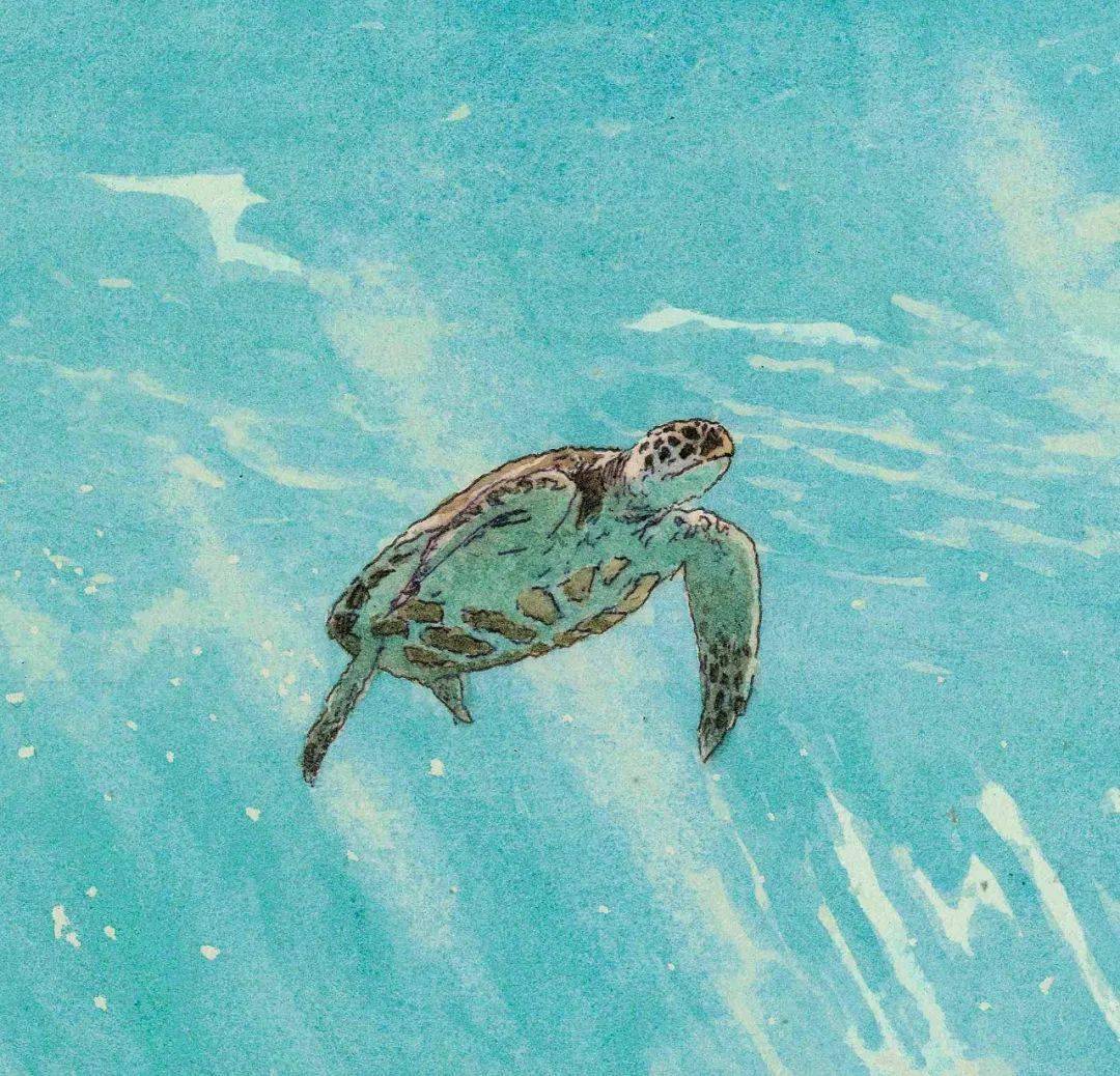 Sseongryul x 每当变幻时_艺术工作者