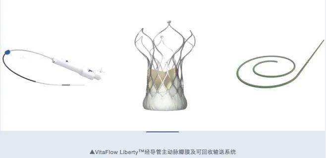 微创心通研发的中国首个电动可回收TAVI系统VitaFlow Liberty™获批上市_微创医疗