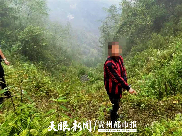 猎捕迁徙候鸟，纳雍3男子被警方刑拘_谭某付