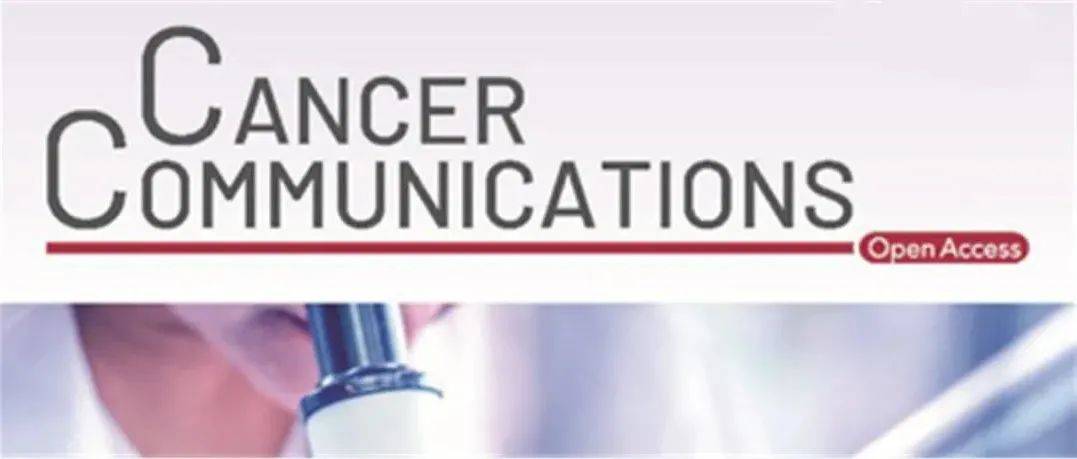 【前沿】徐骁教授团队连续在Cancer Communications发文阐述肝癌精准治疗新策略_恶性肿瘤