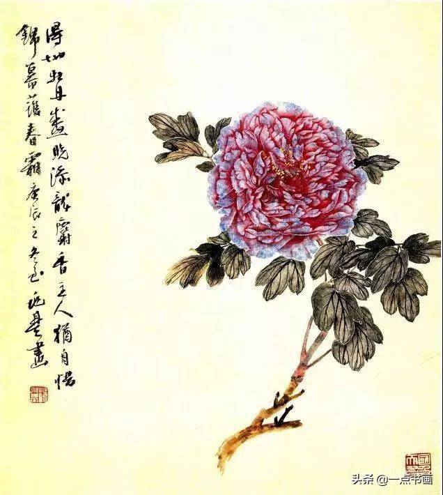牡丹的10种画法_花瓣