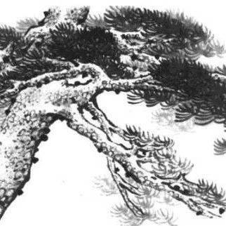 松树的画法详解_松根