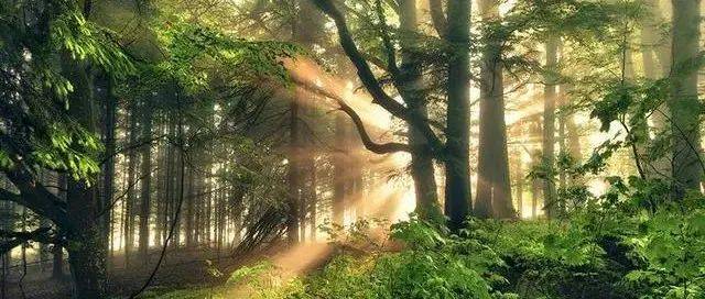 摄影欣赏 | 全球十大顶级风光摄影师_作品