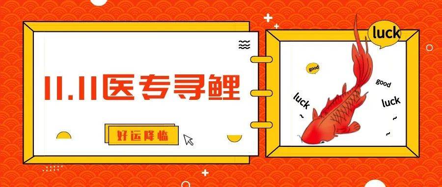 新媒体官方旗舰店：医专寻鲤，决战11_鹭芳
