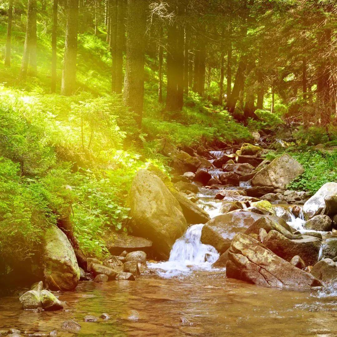 晚安曲 |《Earth of Light》舒缓流畅，安详宁静_Frantz_Amathy_音乐