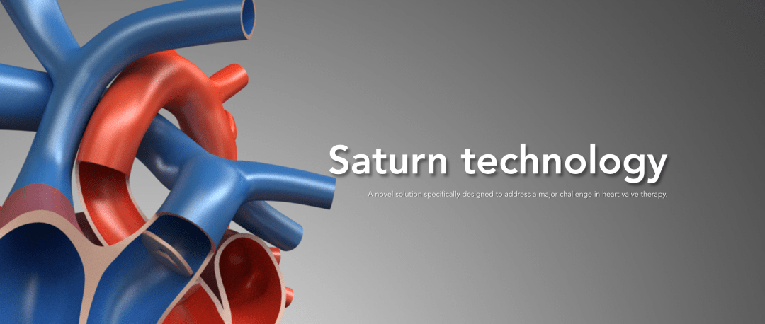 快讯 | 远大医药战略投资Innovheart，布局介入二尖瓣赛道_Saturn_产品_公告