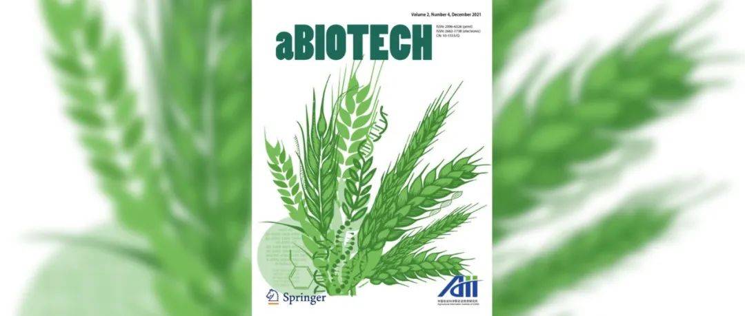 aBIOTECH | 2021年『 小麦生物技术 』专题正式上线！_and_Biology_China