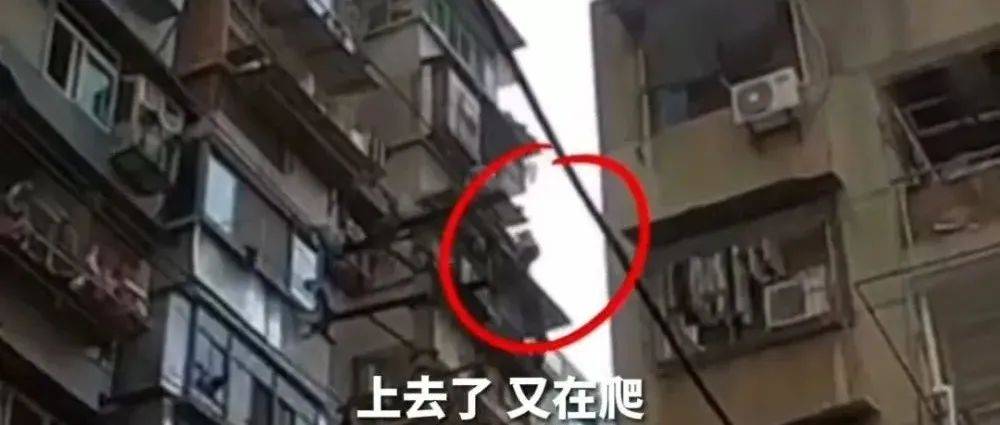 湖北一女子请小伙来家里做饭，外婆突然回来，小伙这一举动惊了！网友误会朋友