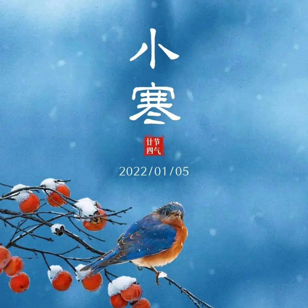 小寒今日至,年味已冒头后山昭通大雁