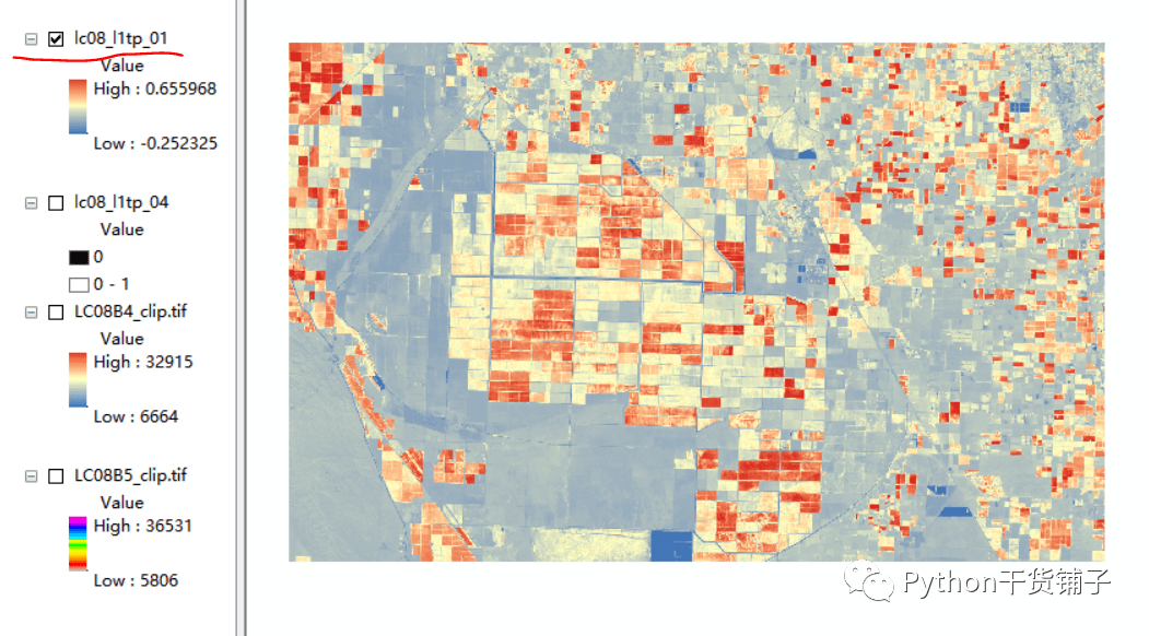干货分享 | 利用Python和ArcGIS计算并绘制NDVI_运算_float_数据