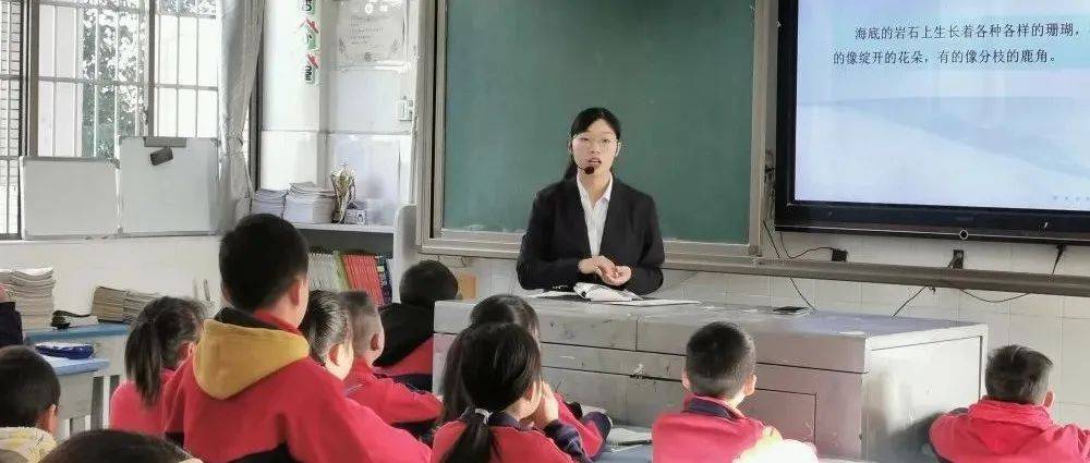 教有所思,思有所悟,悟有所行——英发学校小学部主题研讨活动教学经验课堂
