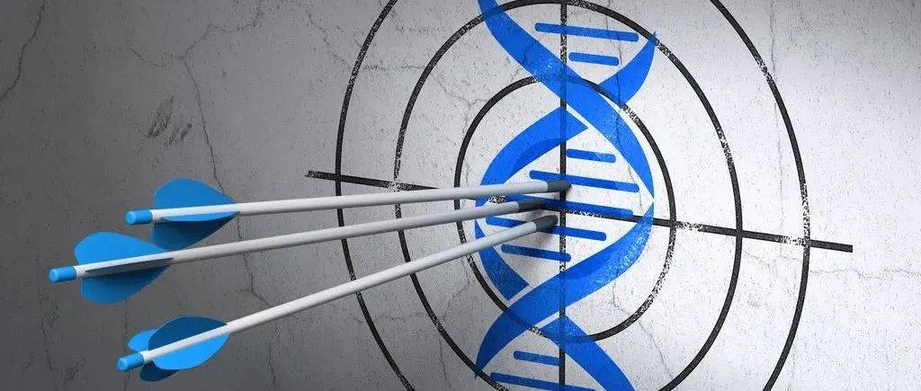 《肿瘤学年鉴》：HER2+伴脑转移乳腺癌患者迎来曙光_进展_治疗_研究