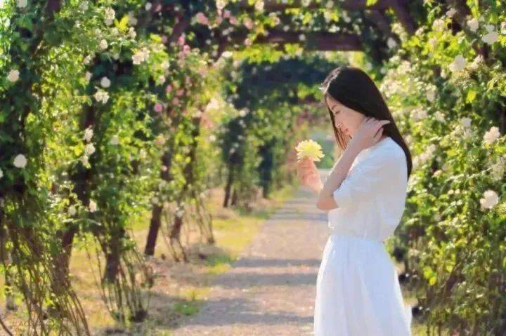 她毅然选择放手。递上一纸离婚书： 既然不爱，就离婚吧。”