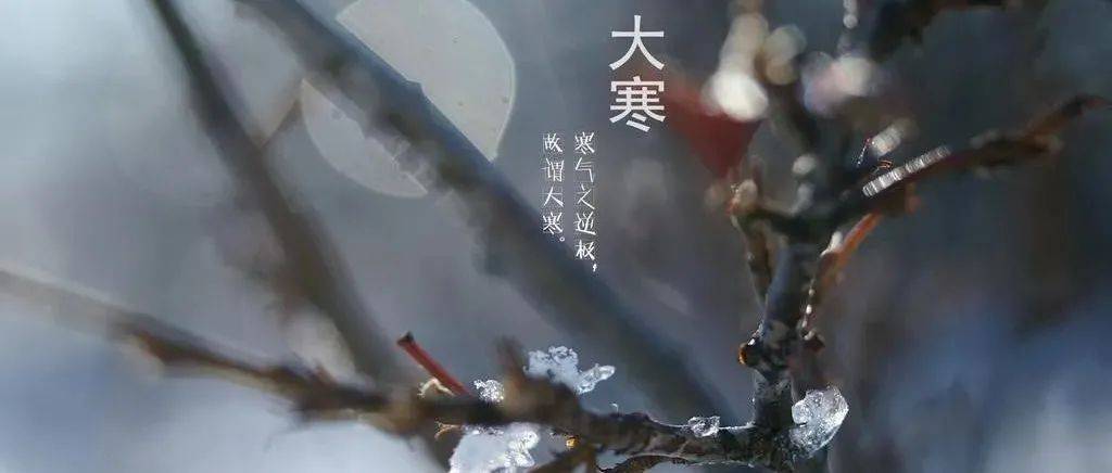 今日大寒，冬暖炉旁相依偎，与君盼春归！养生空气多饮水