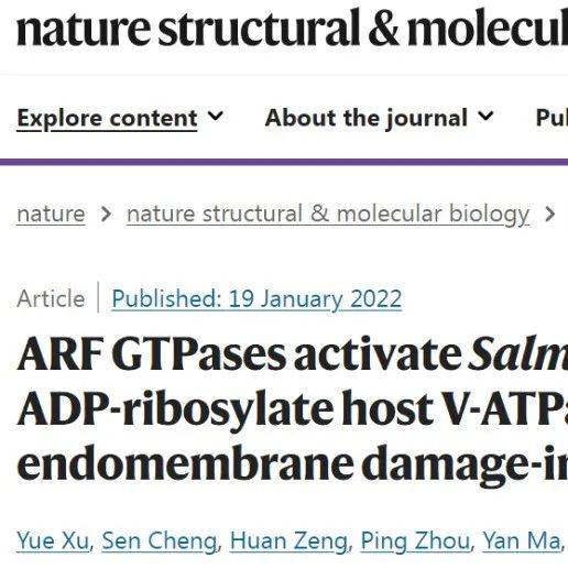 NSMB丨丁璟珒/邵峰合作揭示细菌效应蛋白拮抗宿主抗细菌自噬的分子机理和细胞选择性自噬的通用机制_V-ATPase_SopF_通路