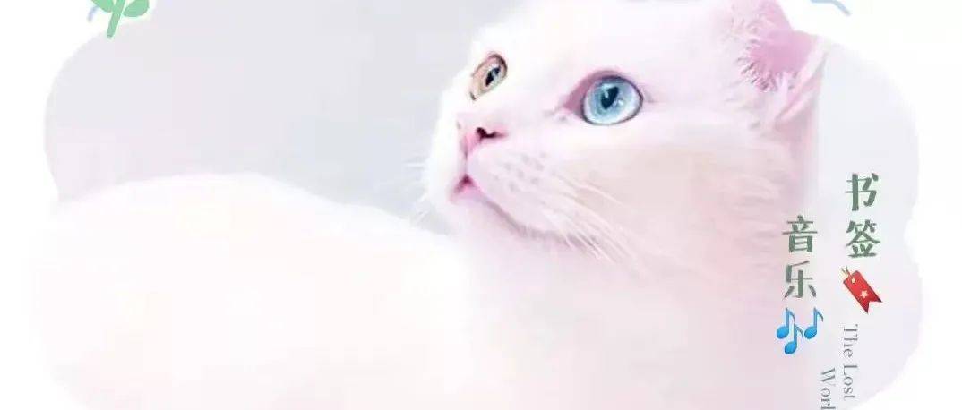 音乐书签：《大家旺旺》_都能_jjgb_Car