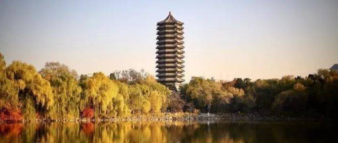 这几种方法可以远离烂人烂事,很实用简单的季羡林乌龟母亲