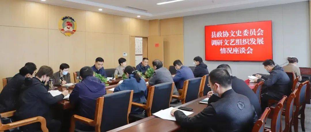 县政协开展文艺组织发展情况调研活动杨洪军文化全县 0454