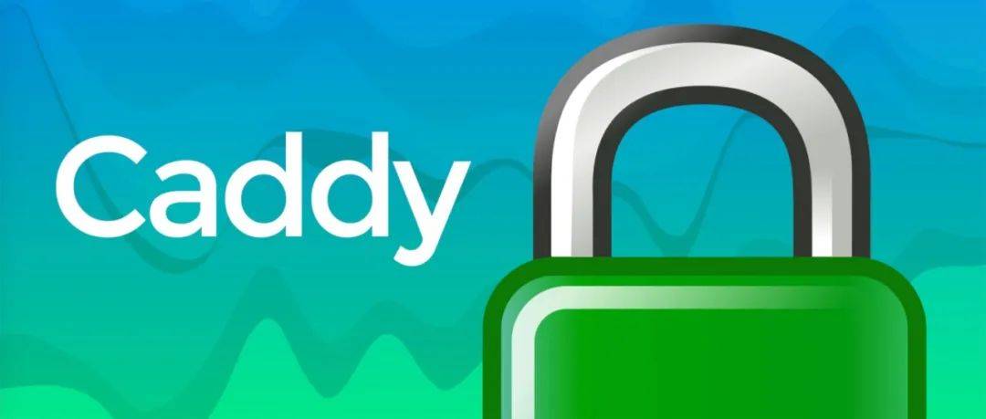 超越 Nginx！号称下一代 Web 服务器，用起来够优雅！_Caddy_配置_命令