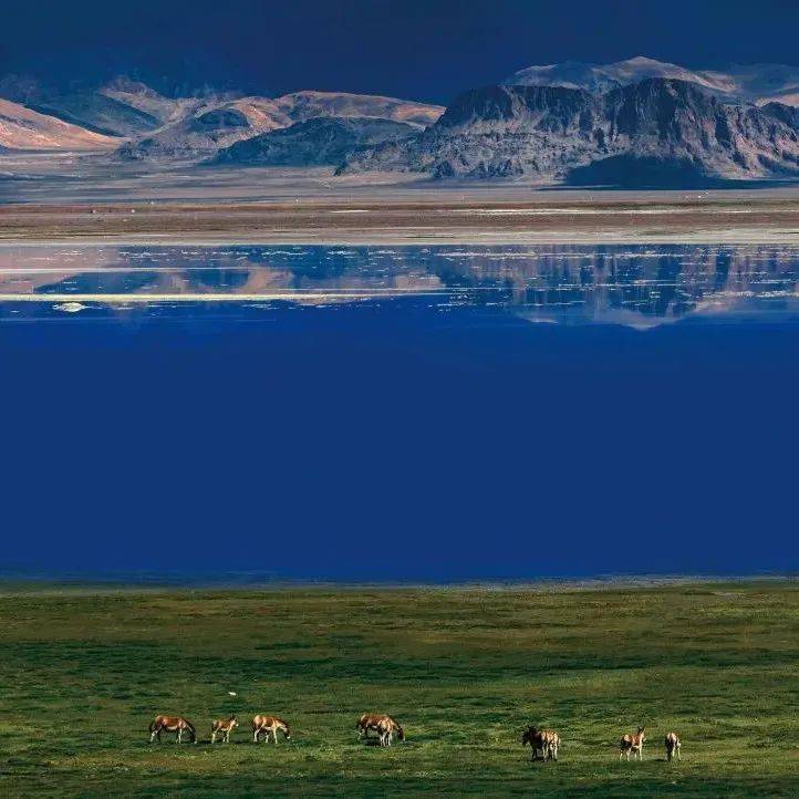 西藏的湖泊有多美？_湖水_日南_雍措