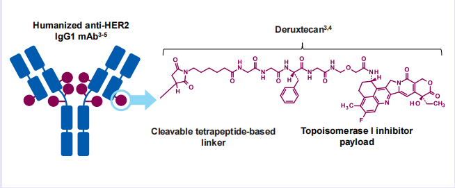 盛湲教授：ADC药物的狂欢—AACR T-DXd最新数据盘点_研究_细胞_治疗
