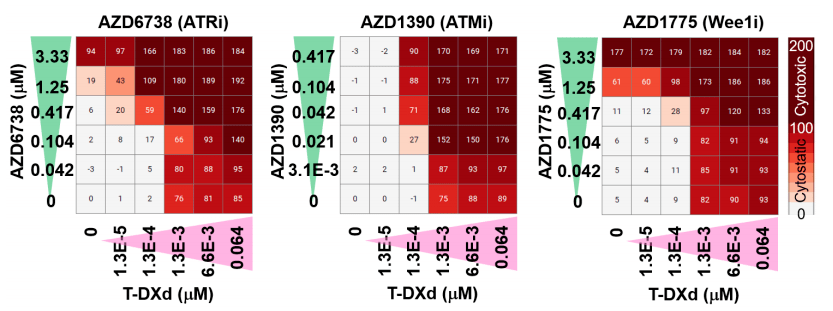 盛湲教授：ADC药物的狂欢—AACR T-DXd最新数据盘点_研究_细胞_治疗