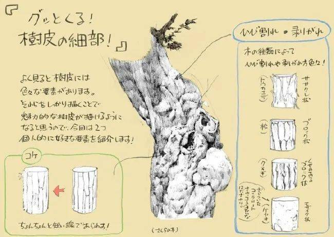 【绘画教程】下田スケッチ【絵の描き方】 twi@simodasketch_灵猫_插画_课程